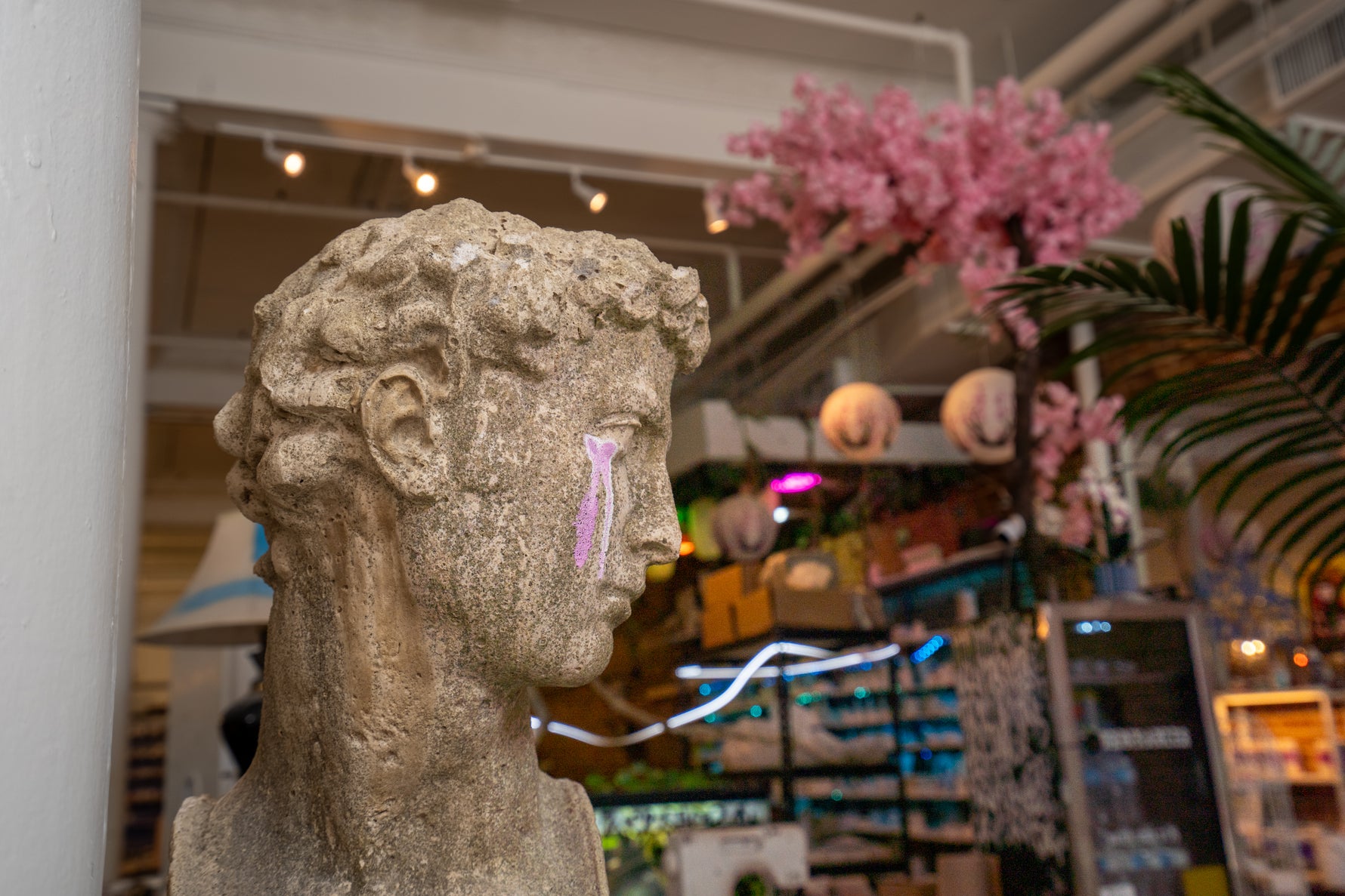 Home – DRIP Ybor